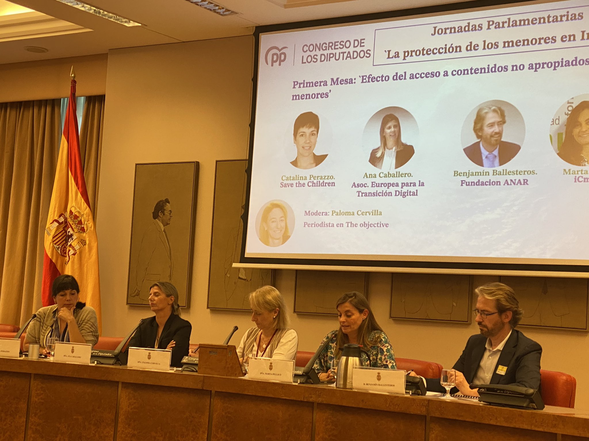 ANAR acude a las Jornadas Parlamentarias «La protección de los menores ...